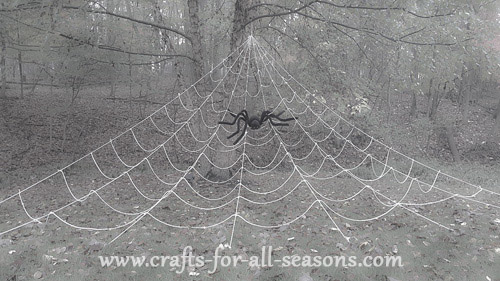 Giant Spider Web